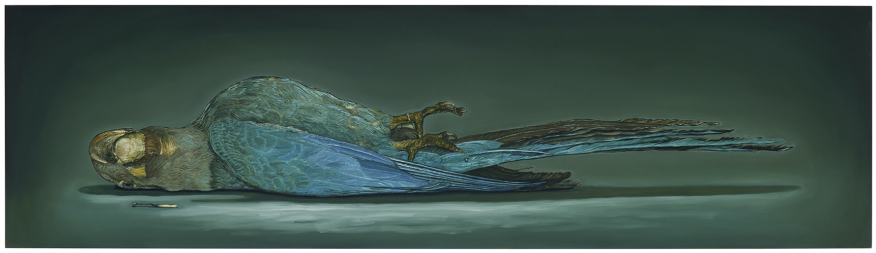 UB Art Galleries, Buffalo Museum of Science collaborate to showcase ...